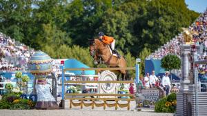 Sport Horse Sales | Holger Hetzel